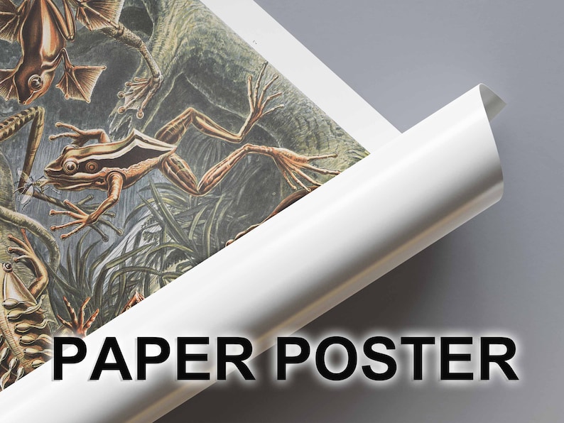 Creation of Adam by Michelangelo Buonarroti Canvas or Poster - Etsy