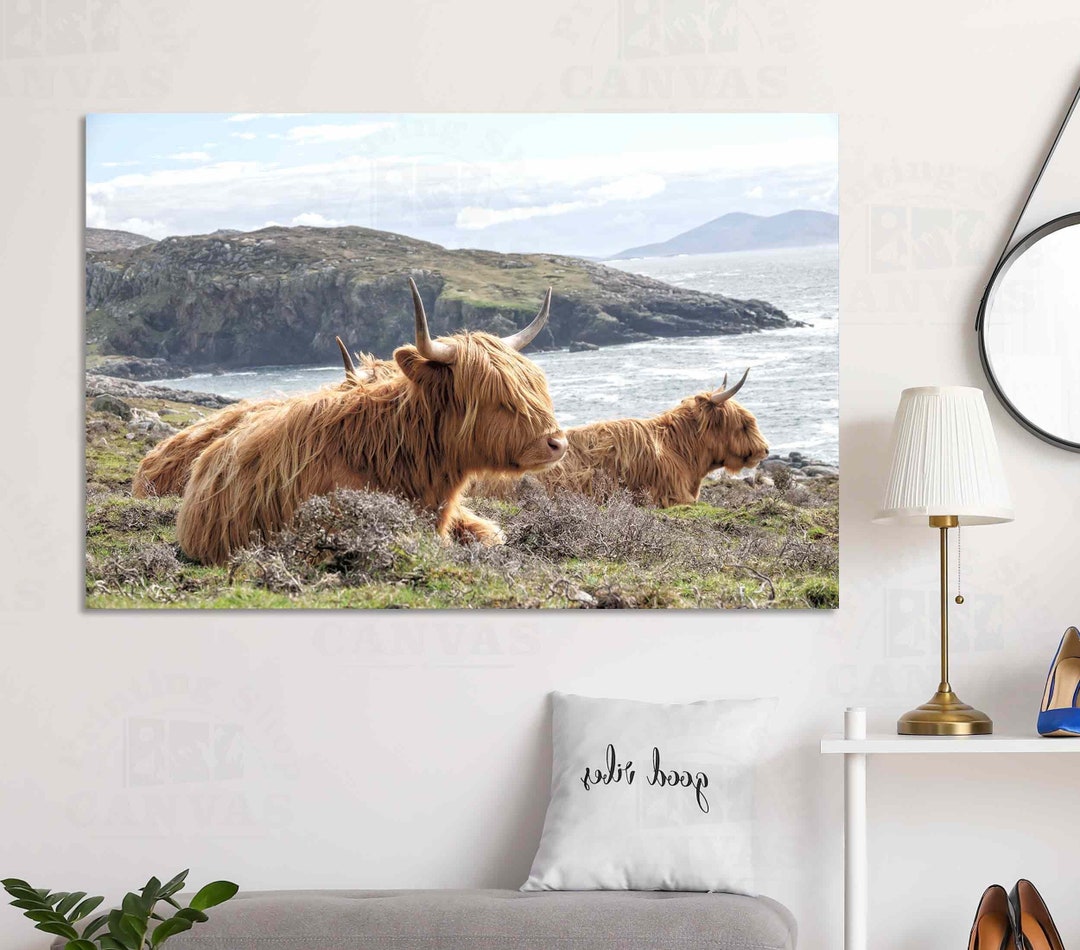 Floating Frame Cow Canvas, Cow Print, Scottish Highland Cattle, Farm ...