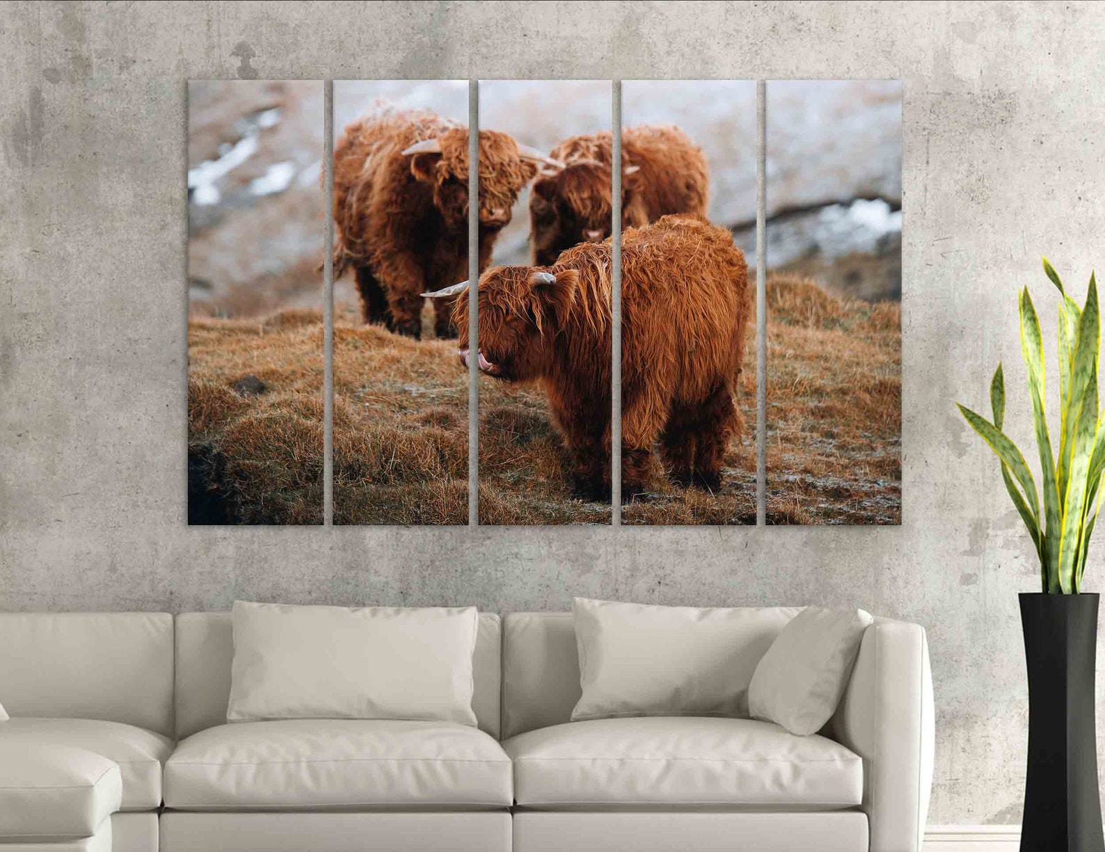 Cow Canvas Cow Print Scottish Highland Cattle Farm Animal - Etsy