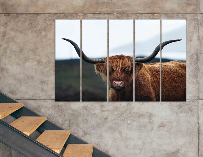 Cow Canvas Cow Print Scottish Highland Cattle Farm Animal - Etsy