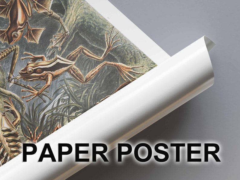 Tropical Paradise Print Wall Art Stunning Artwork of a Parrot in a Lush ...