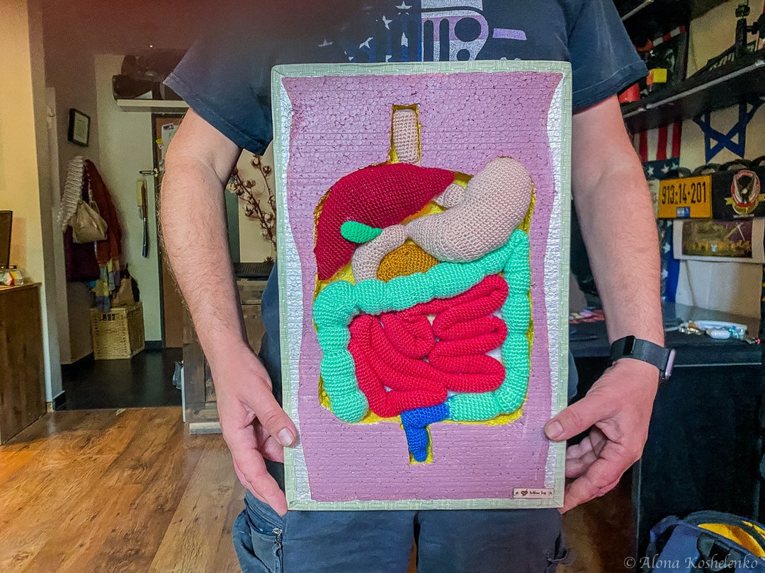 Knitted Model of the Digestive System - Etsy