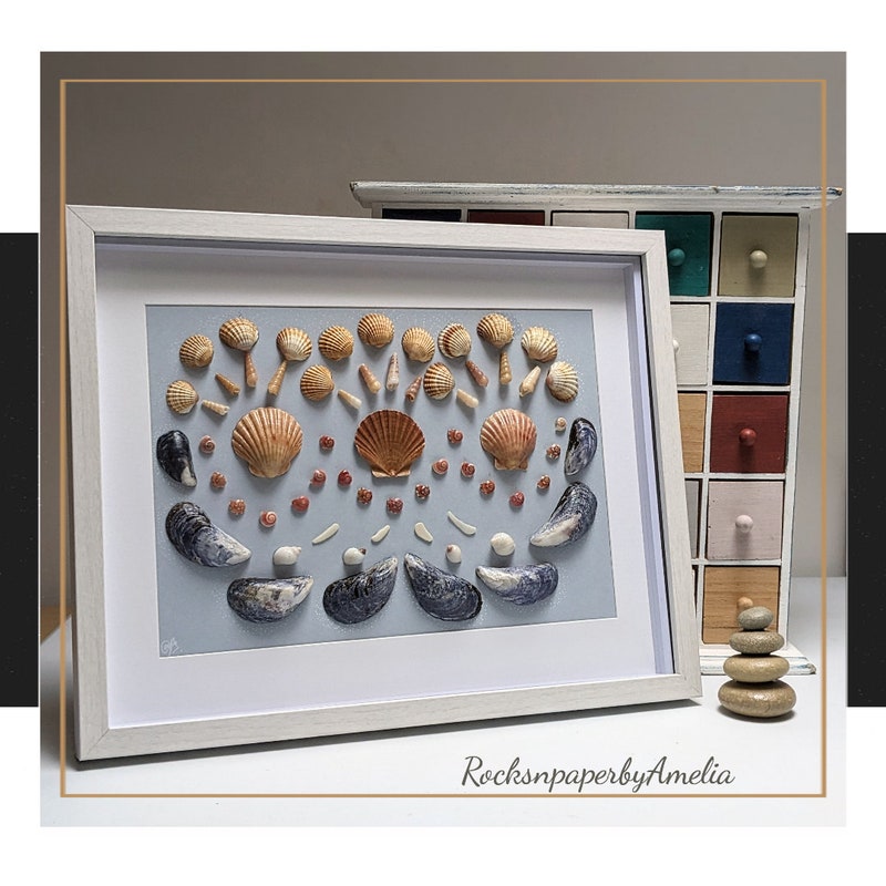 Sea Shell Home Decor - Etsy