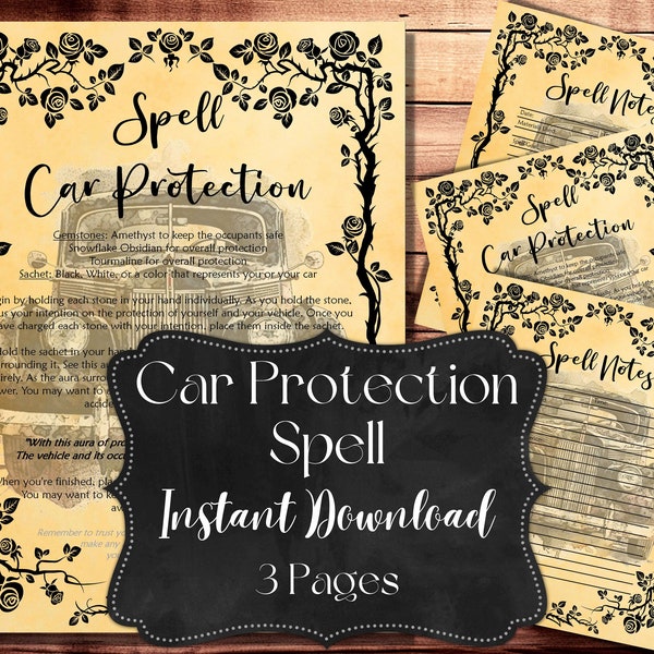 Car Protection - Etsy