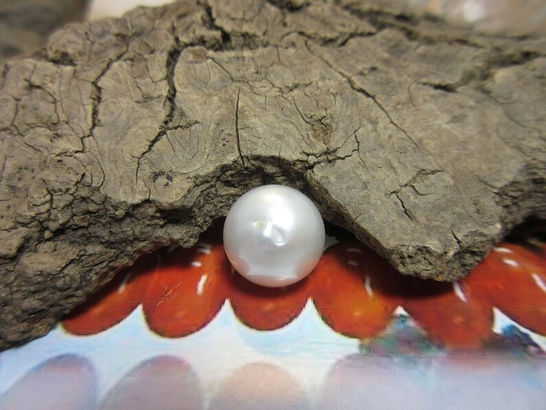 Perle de mer du Sud peu coûteux 14.0 mm couleur blanche Mod.55 | Etsy