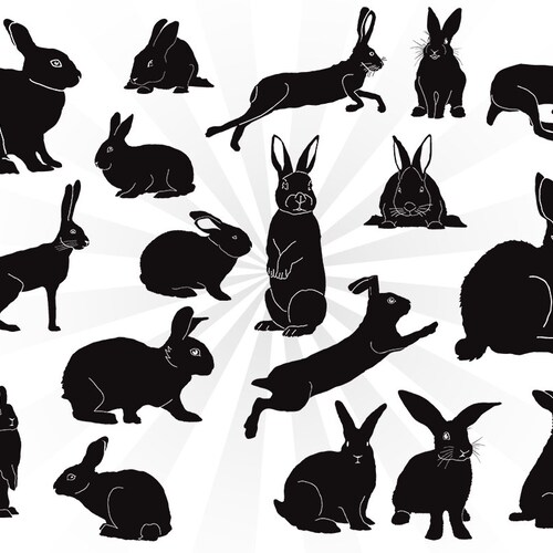 18 Rabbit Silhouette Svg Bundle Bunny Svg Bunny Rabbit Svg - Etsy