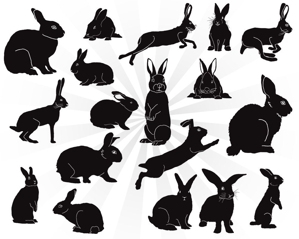 18 Konijn silhouet svg bundel konijn svg konijn konijn svg - Etsy Nederland