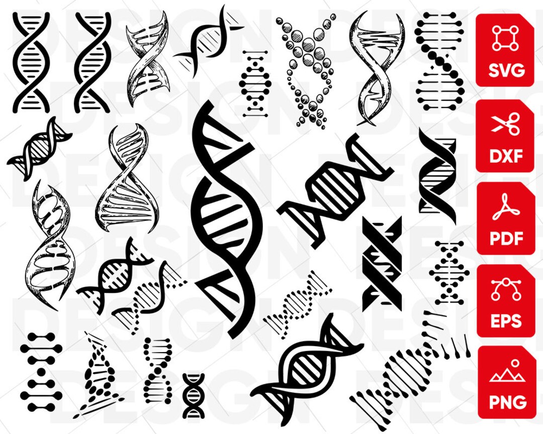 25 Dna Svg, Molecule Svg, Clone Svg, Genetic Svg, Gene Svg, Science Svg ...