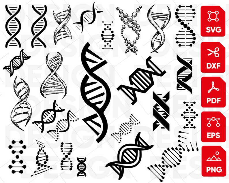 25 Dna Svg Molecule Svg Clone Svg Genetic Svg Gene Svg - Etsy Canada