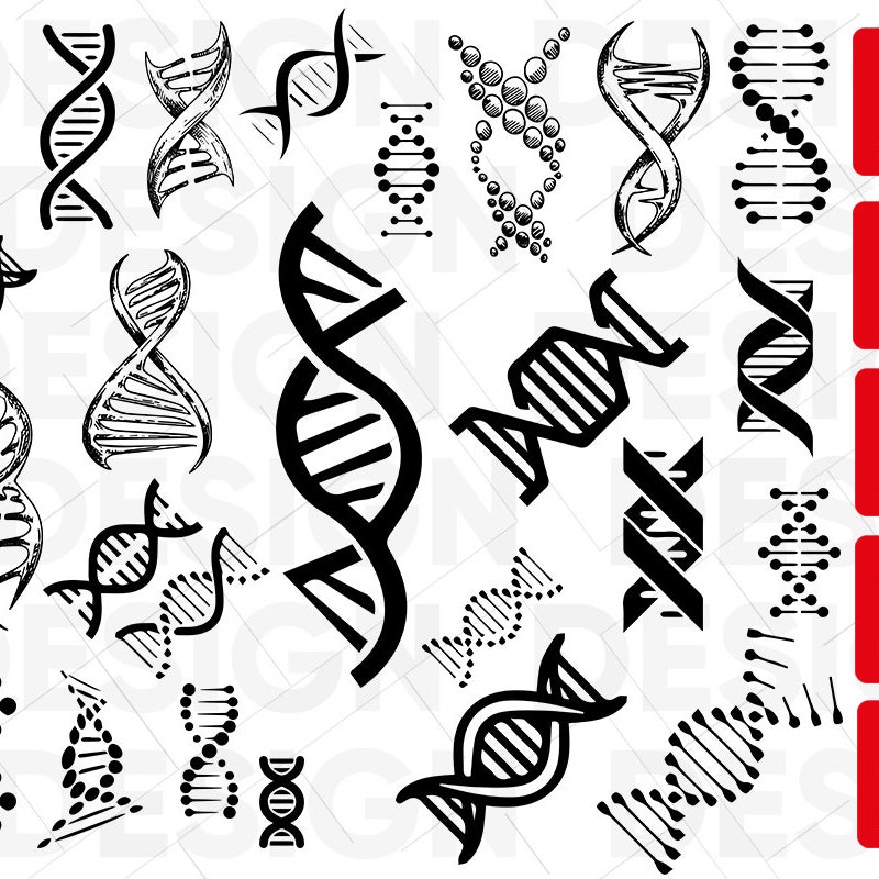 Biology Svg - Etsy