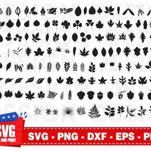 143 Leaf Svg Fall Leaf Svg Leaves Cut File Maple Leaf Svg | Etsy
