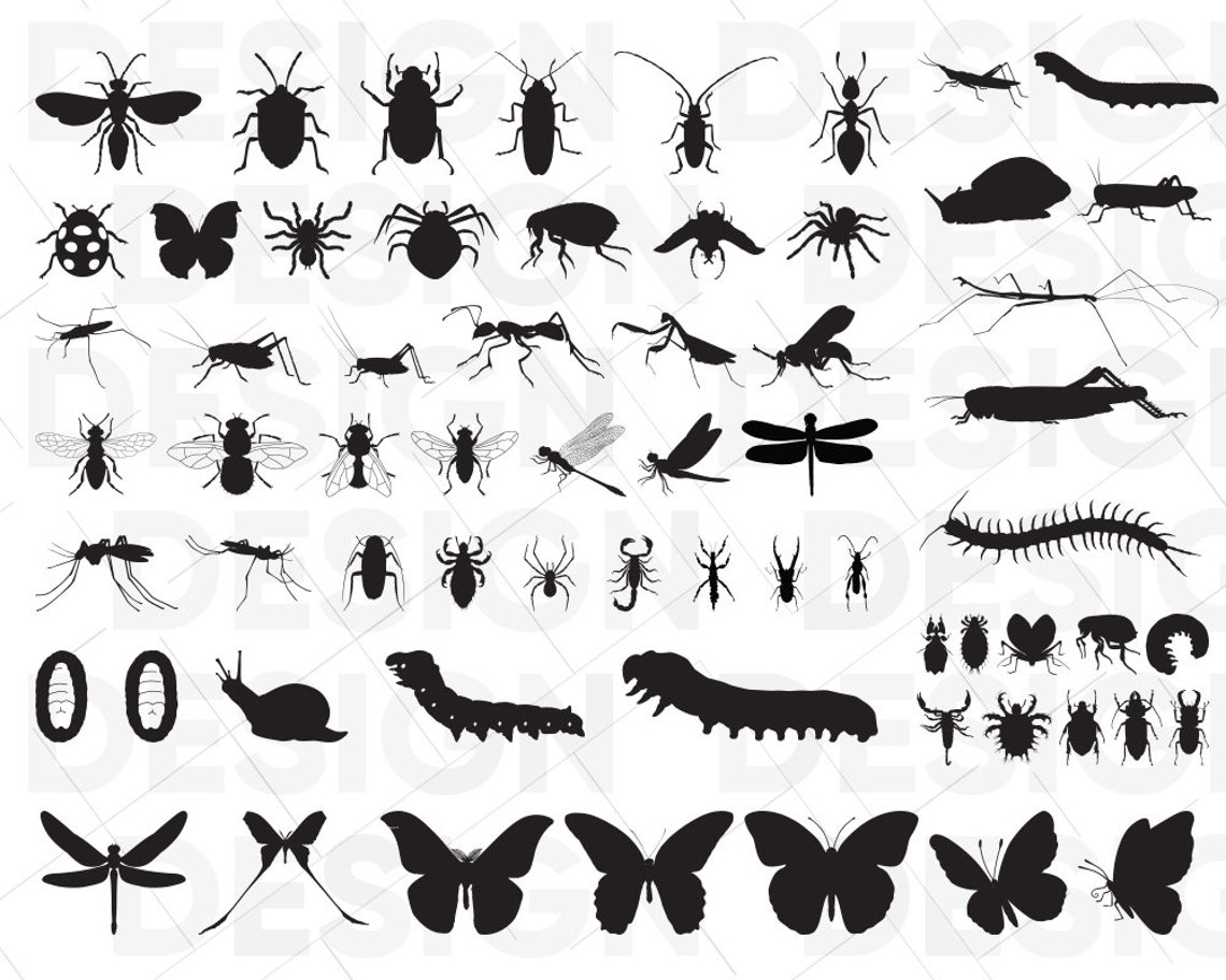 64 Insect Svg Bugs Svg Dragonfly Svg Ladybug Svg Vector - Etsy