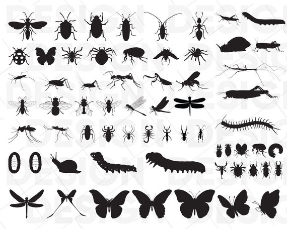 Papercraft Craft Supplies & Tools insects svg insect vector Insect svg ...