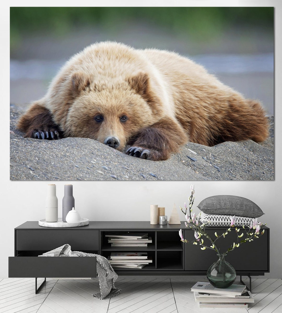 Bear Print on Canvas Brown Bear Wall Art Wild Animal Wall Art Bear ...