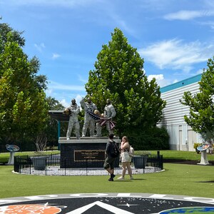 American Sycamore Moon Tree Platanus Occidentalis 10 Seeds - Etsy