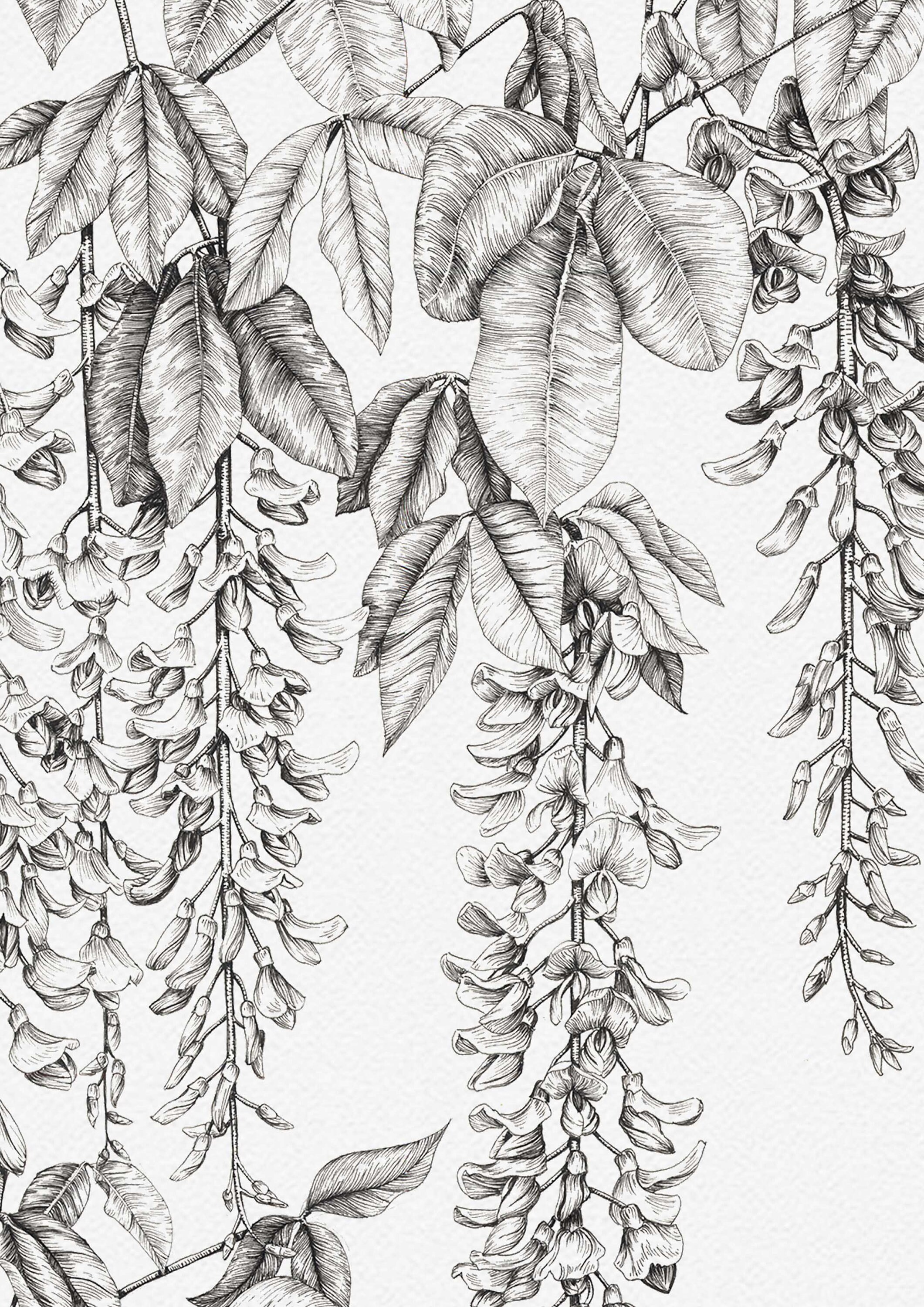 Laburnum Drawing A2 - Etsy UK