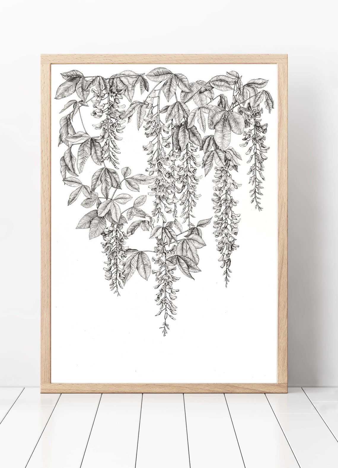 Laburnum Drawing A2 - Etsy UK