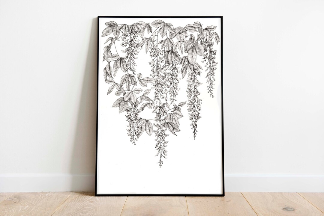 Laburnum Drawing A2 - Etsy UK