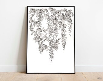 Laburnum Tree Colored Sketch Digital Art Drawing PNG, JPG, SVG 300dpi 4 ...