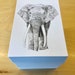 Elephant Postcard Pack - Etsy