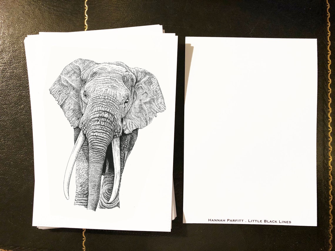 Elephant Postcard Pack - Etsy