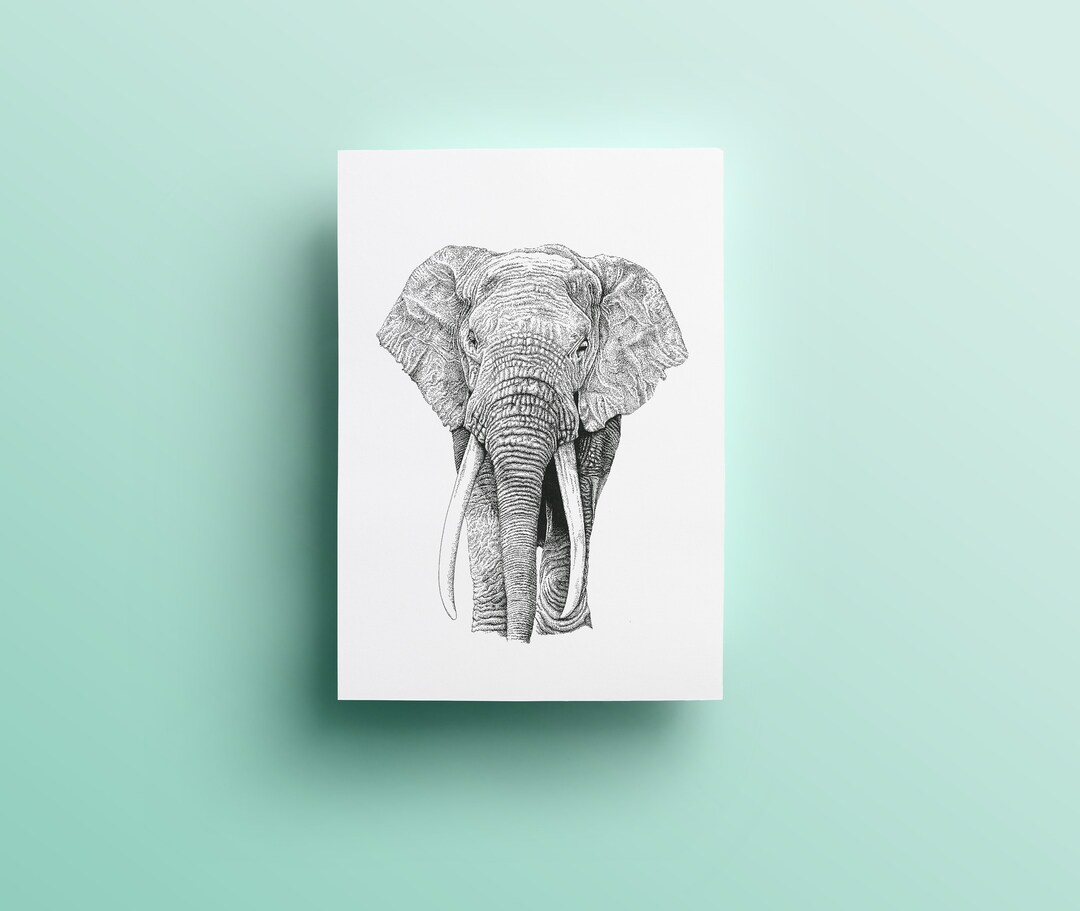 Elephant Postcard Pack - Etsy