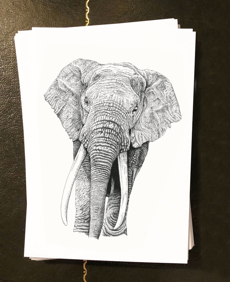 Elephant Postcard Pack - Etsy