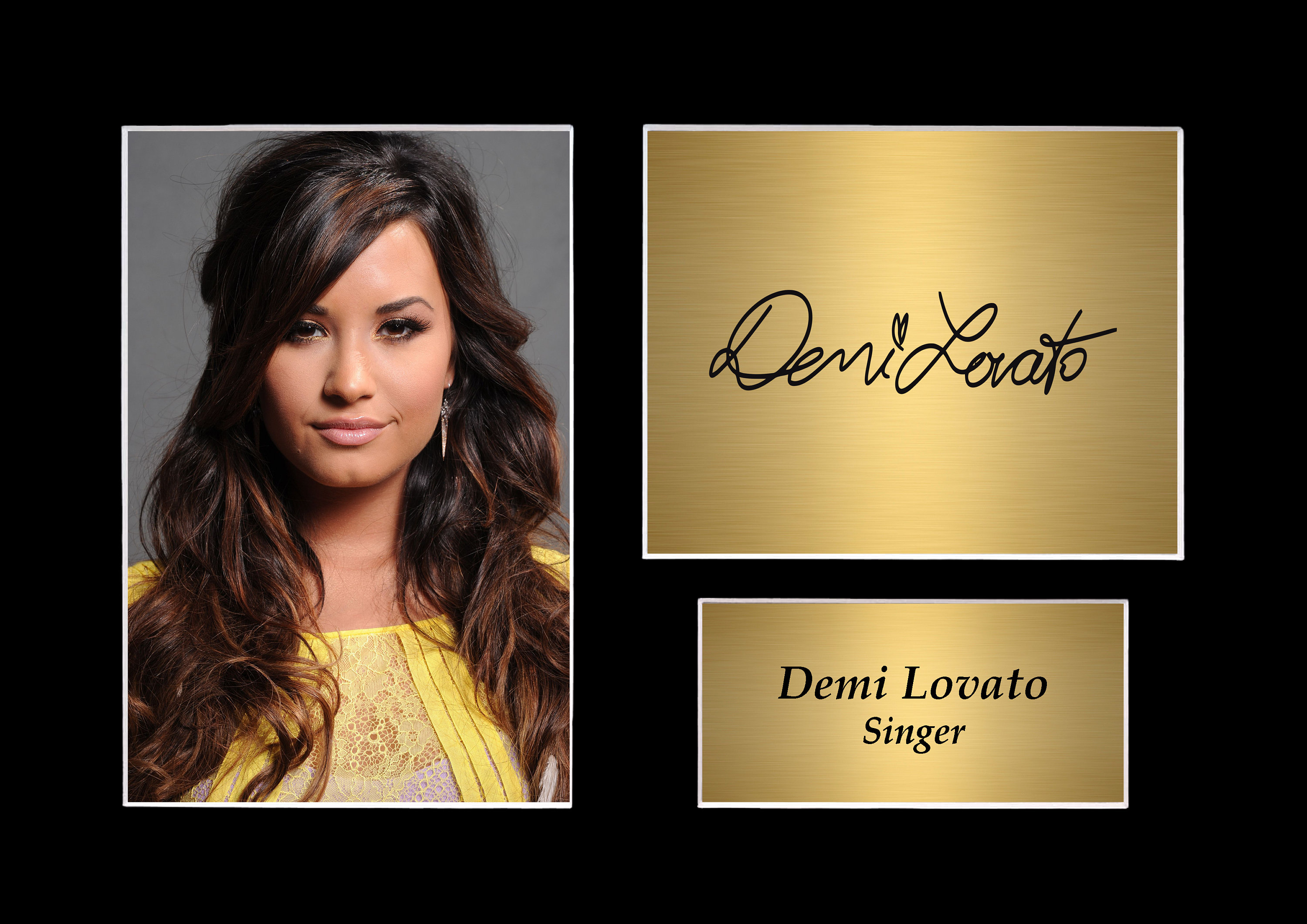 Signed Demi Lovato Mount Autograph Print A4 - Etsy