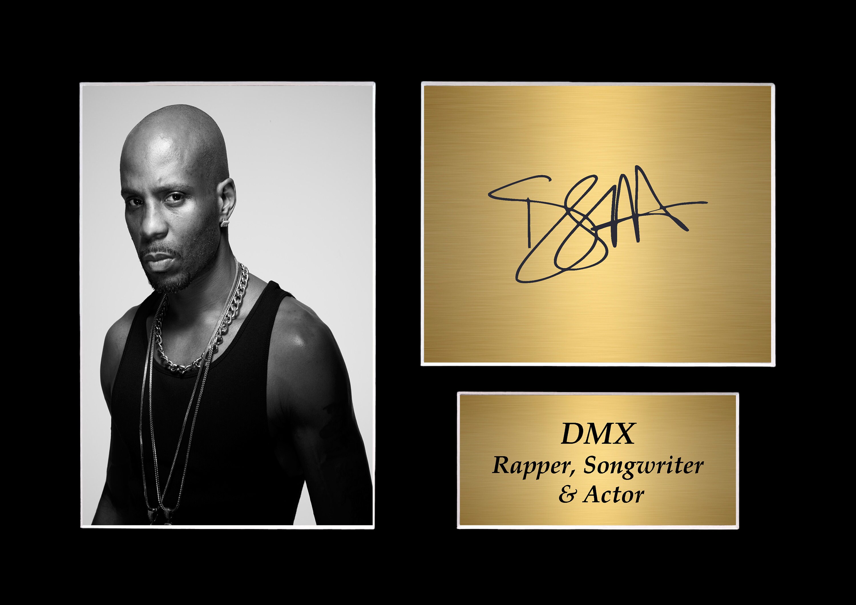 Signature DMX Mount Autograph Print A4 - Etsy France