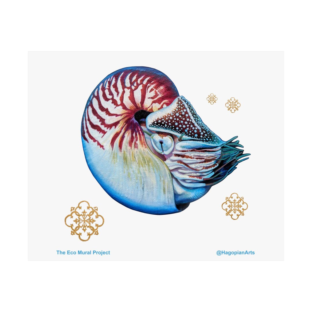 Nautili Eco Mural 7 Horizontal Fine Art Print, Fine Art Public Art by ...