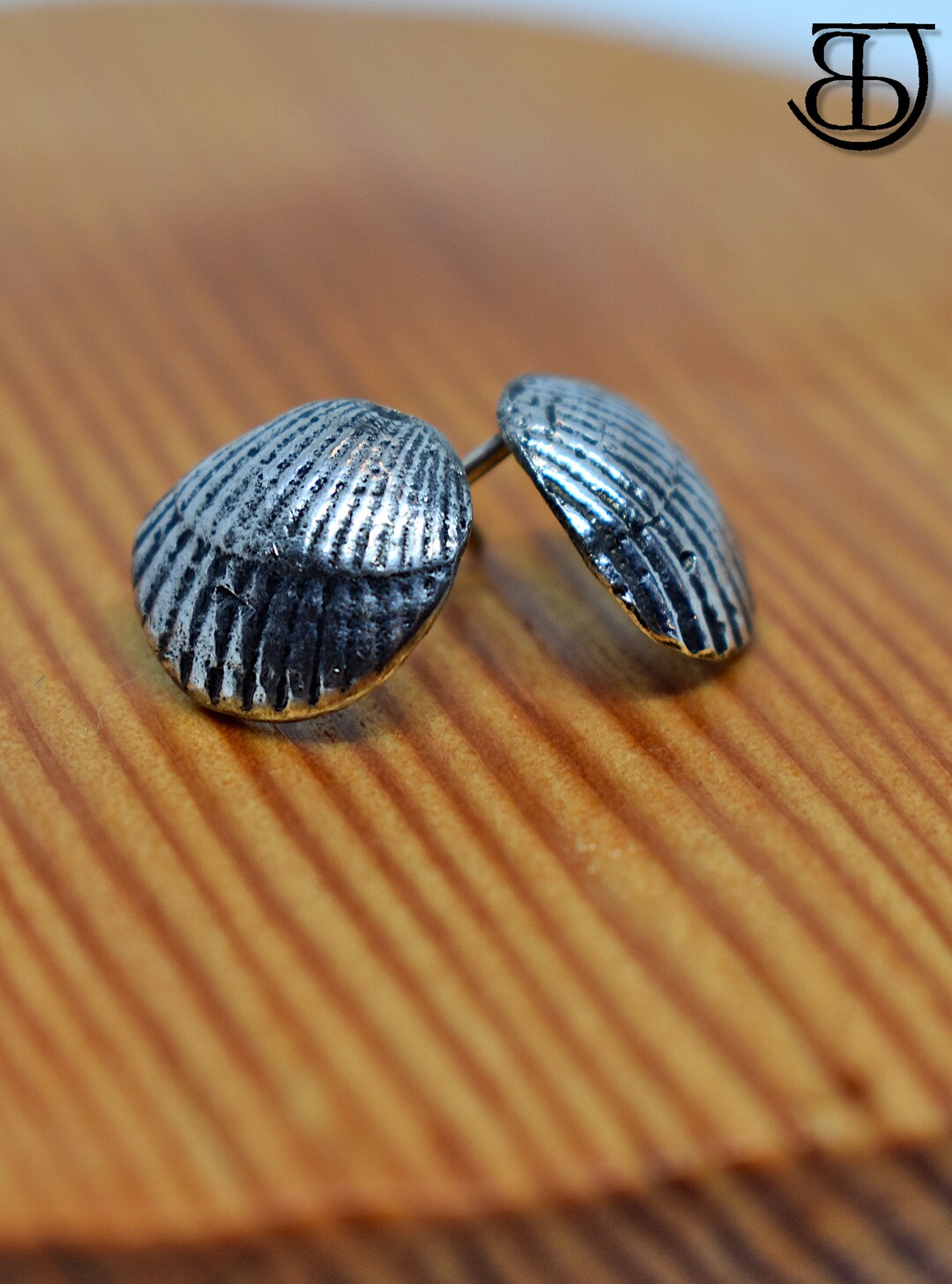 Sea Shell Studs - Etsy