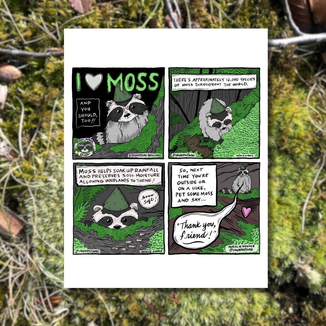 I Love Moss Raccoon Comic Art Print - 11x14 - Etsy