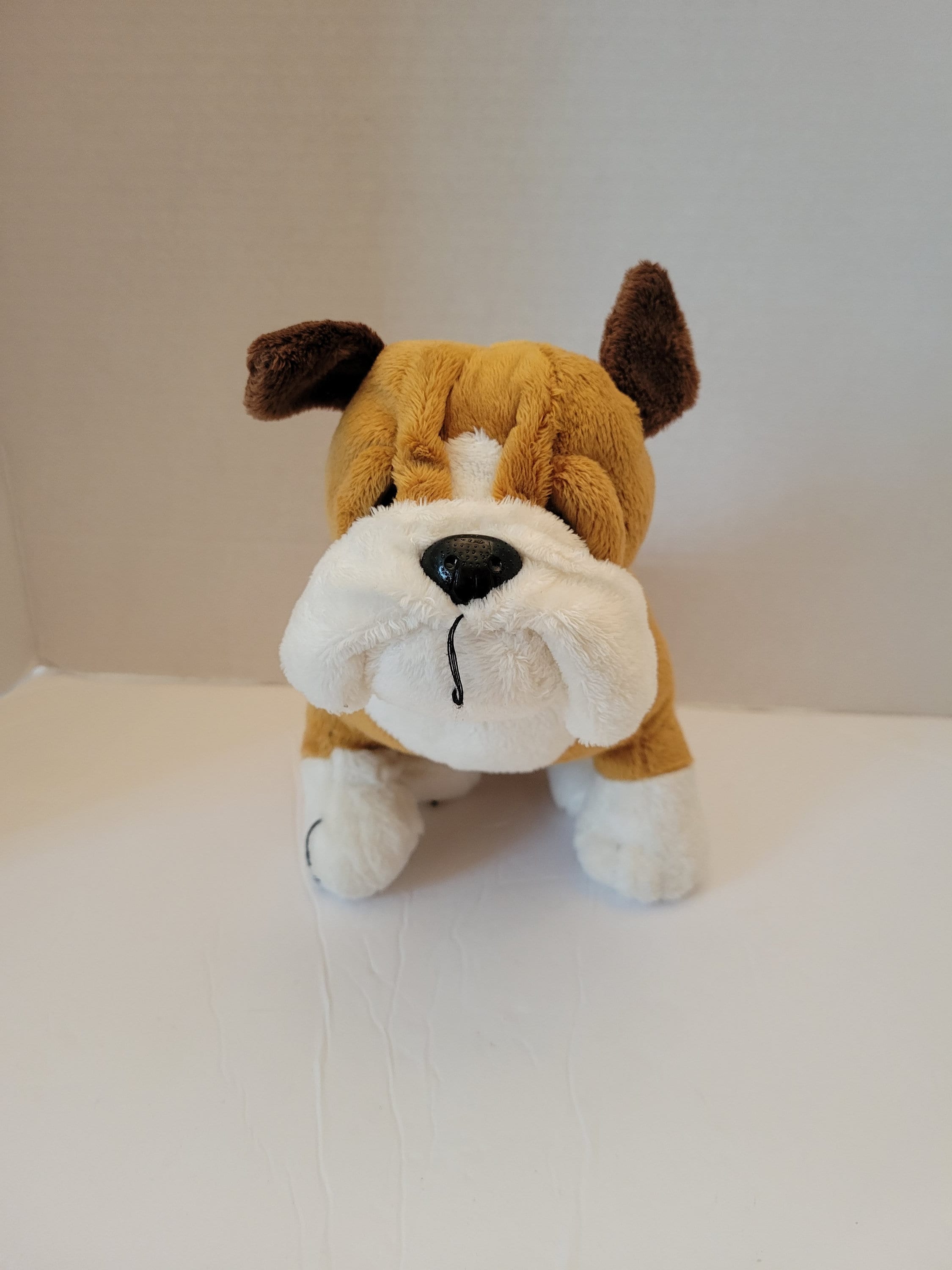 Webkinz Bulldog Code