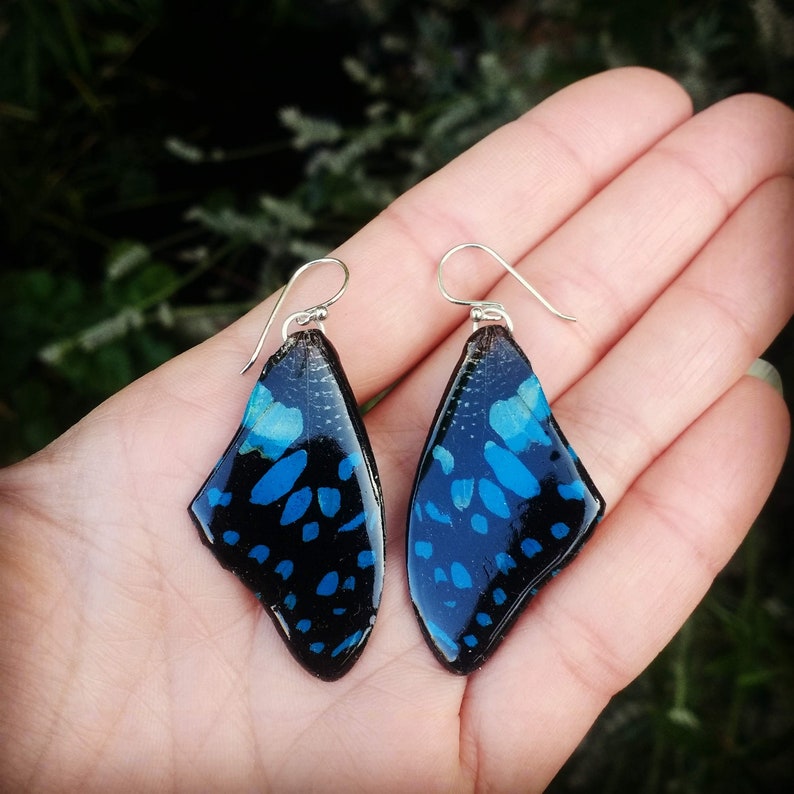 Royal Blue Butterfly Best Friend Birthday Gift Real | Etsy