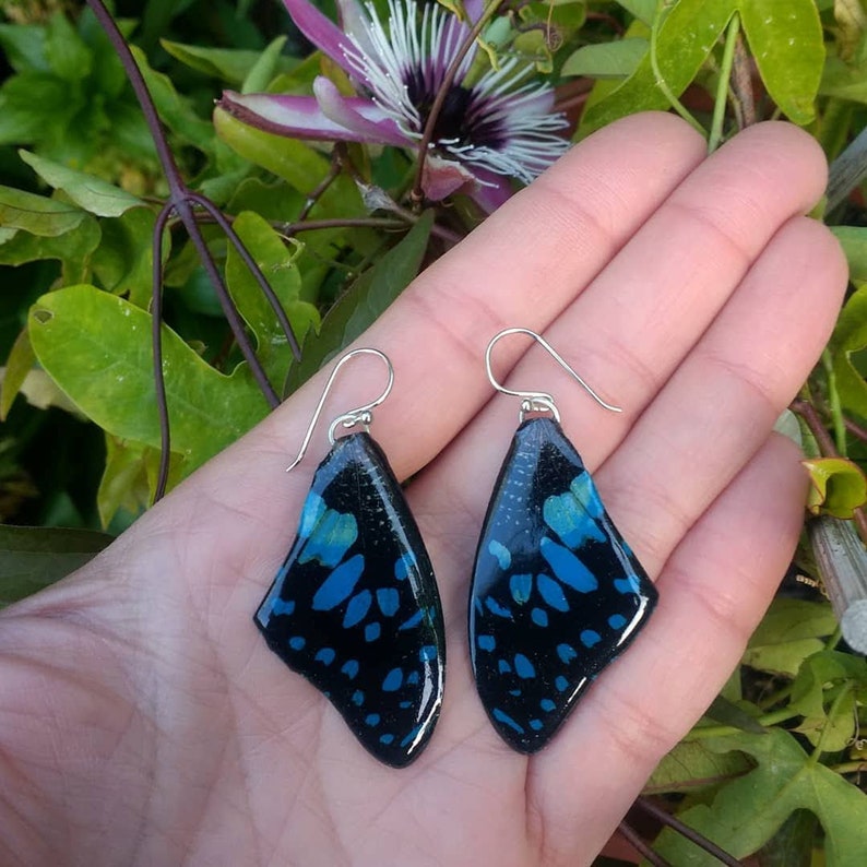 Royal Blue Butterfly Best Friend Birthday Gift Real | Etsy