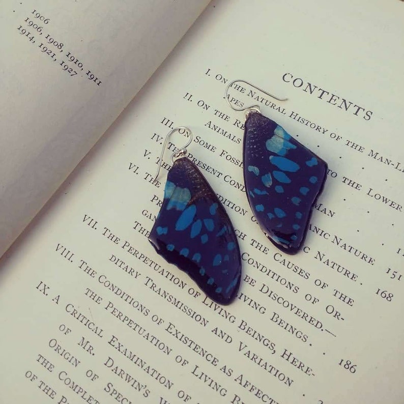 Royal Blue Butterfly Best Friend Birthday Gift Real | Etsy