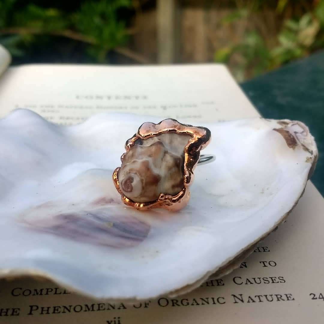 Mermaid Shell on Silver Ring | Magical Sea Shell Ring | Real Greek Sea ...