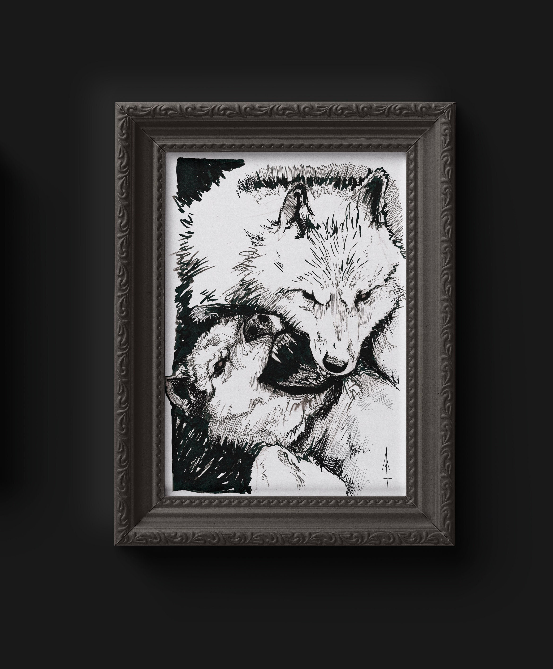 Fighting Wolf Drawings