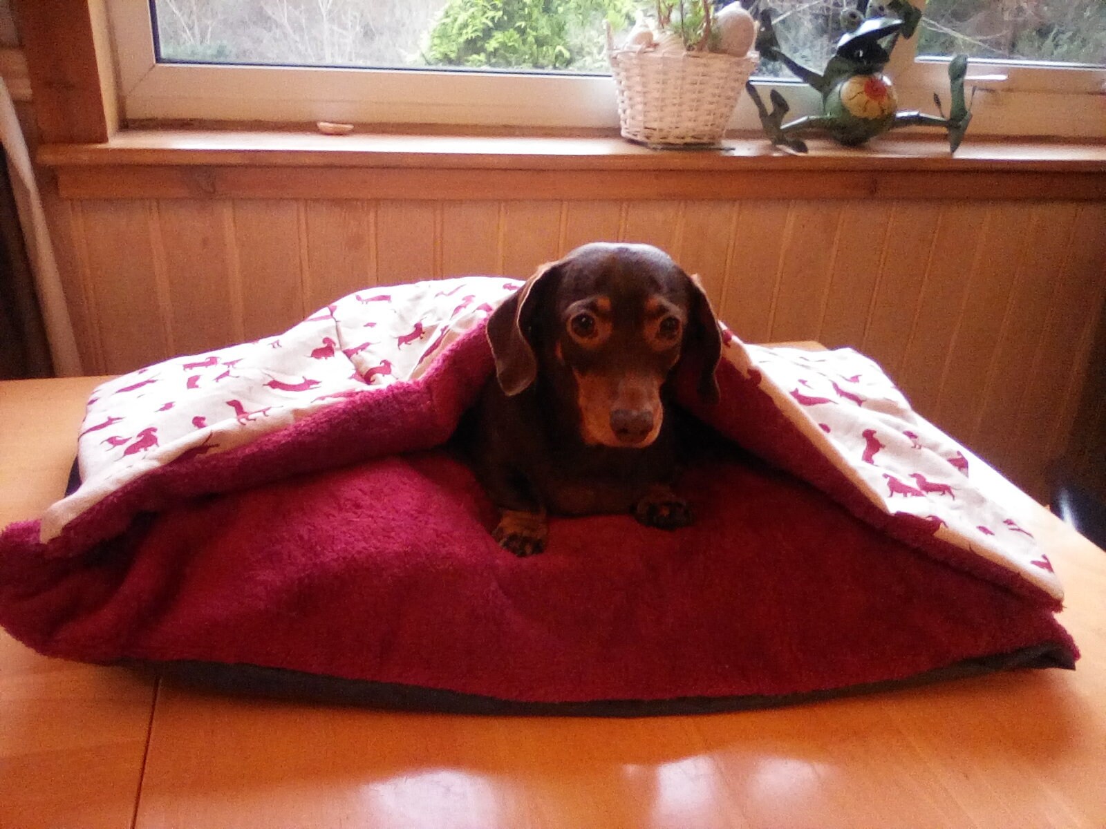 Snuggle Dog Bed - Etsy UK