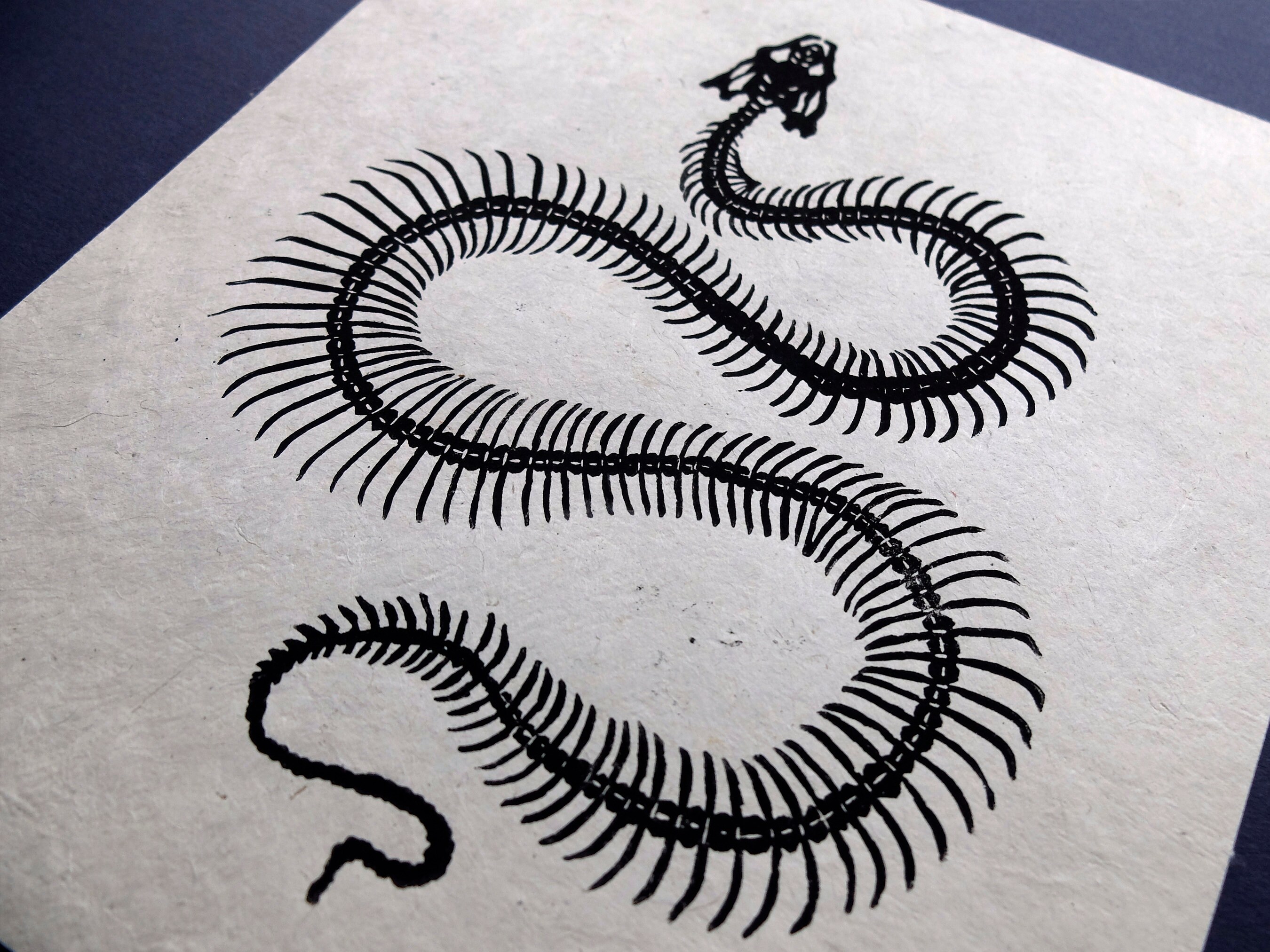 ‘The Other Side’ lino cut print Snake skeleton print Wood & Linocut ...