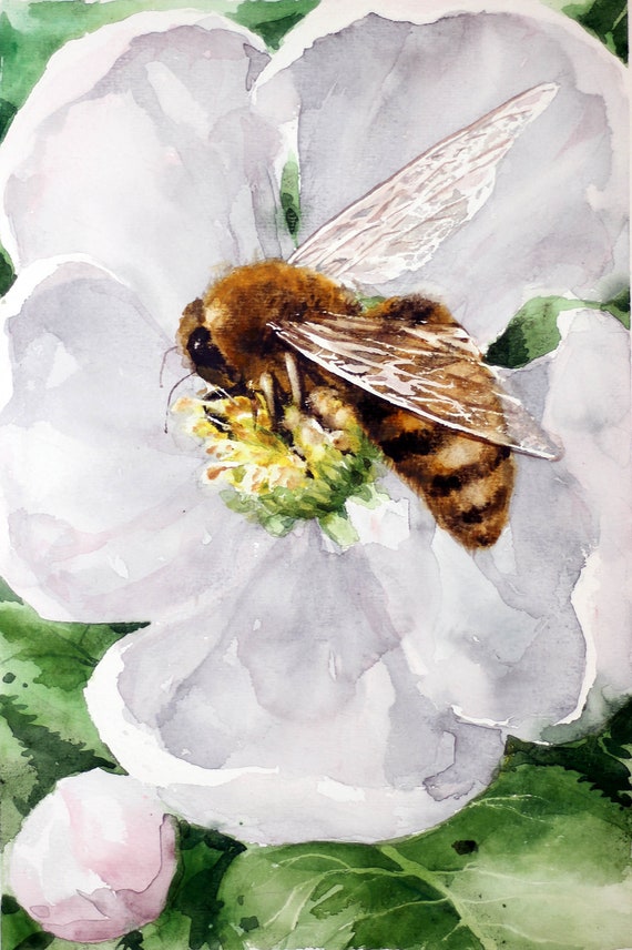 Bee & Apple Flower Original Watercolor Painting Honey Bee Art | Etsy