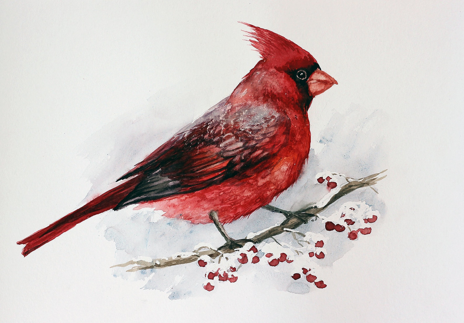 Red Cardinal Painting Watercolor Original Bird Aquarelle Decor | Etsy