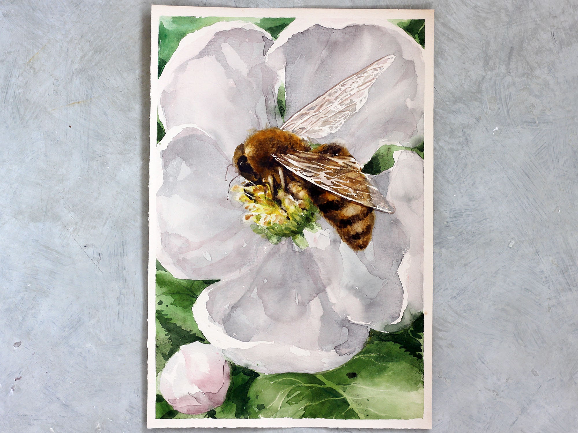 Set of 2 Bee & Chamomile Apple Flower Original Watercolor - Etsy
