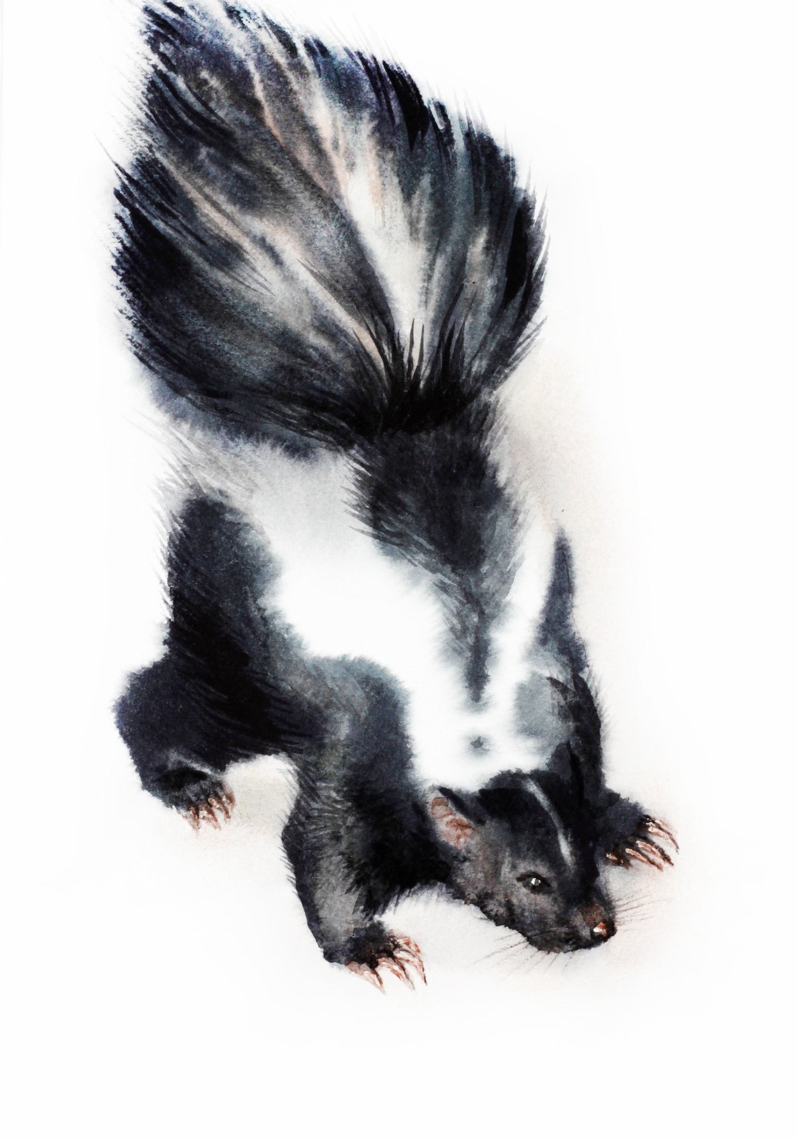 Skunk Art Print Watercolor Painting Nursery Wall Art Decor - Etsy