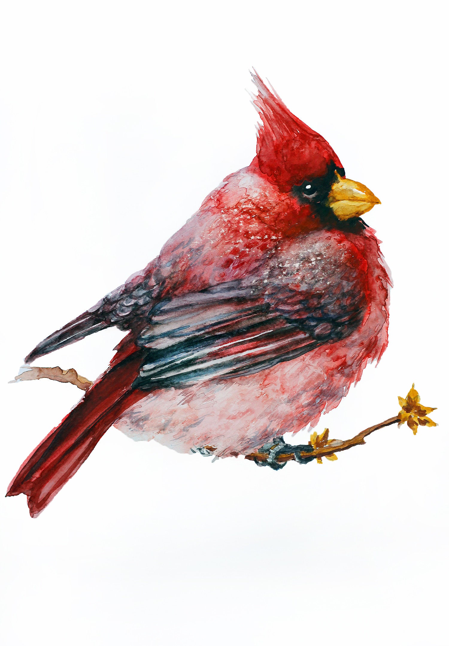 Printable Christmas Card Red Cardinal Digital Watecolor Bird - Etsy