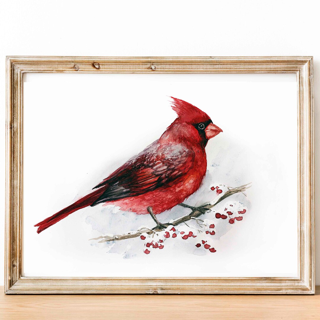 Red Cardinal Painting Watercolor Original Bird Aquarelle Decor - Etsy