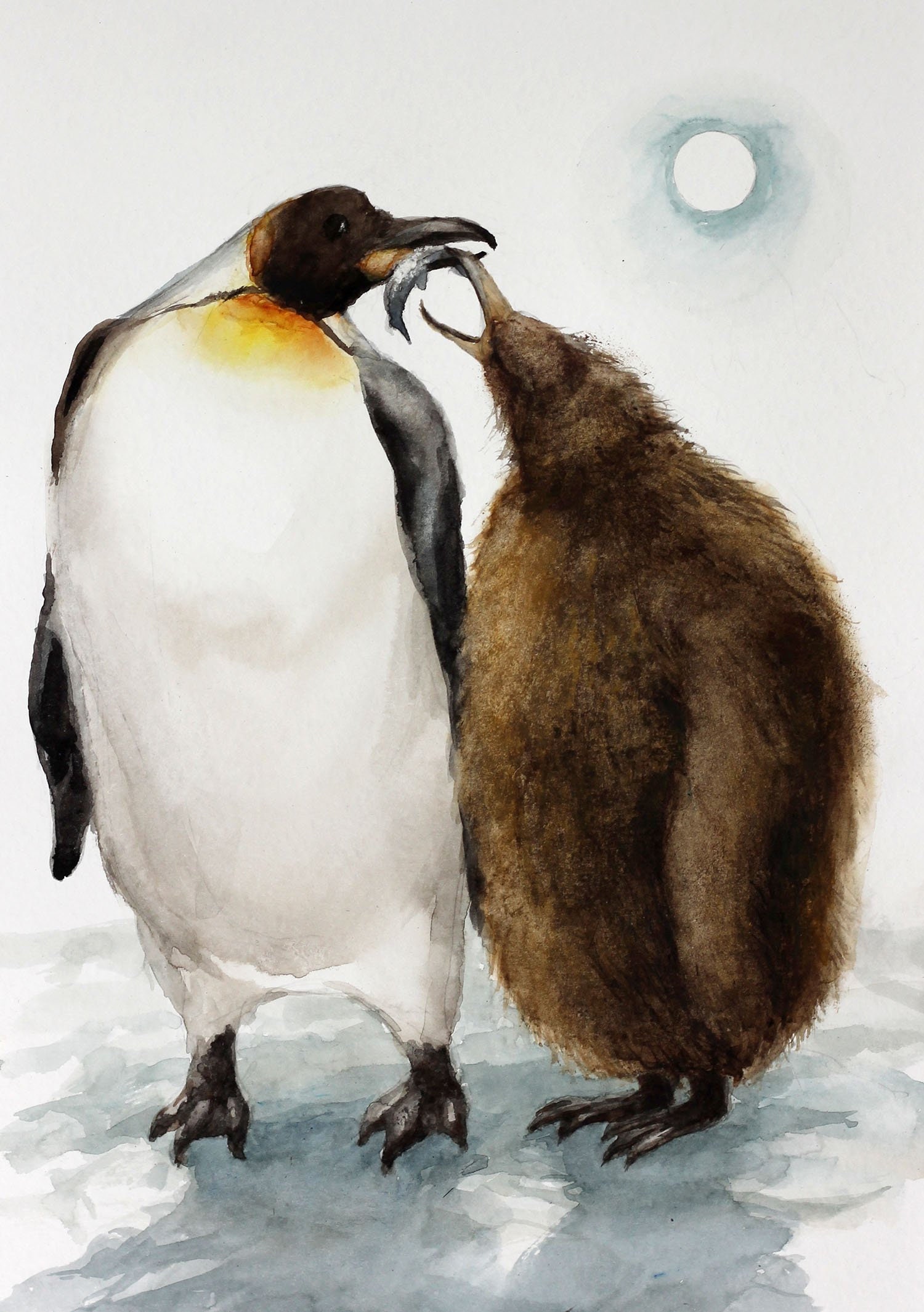 Watercolor Penguim artwork Penguin art Original art Penguin family art ...