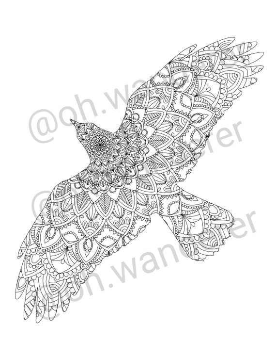Flying Crow Coloring Pages