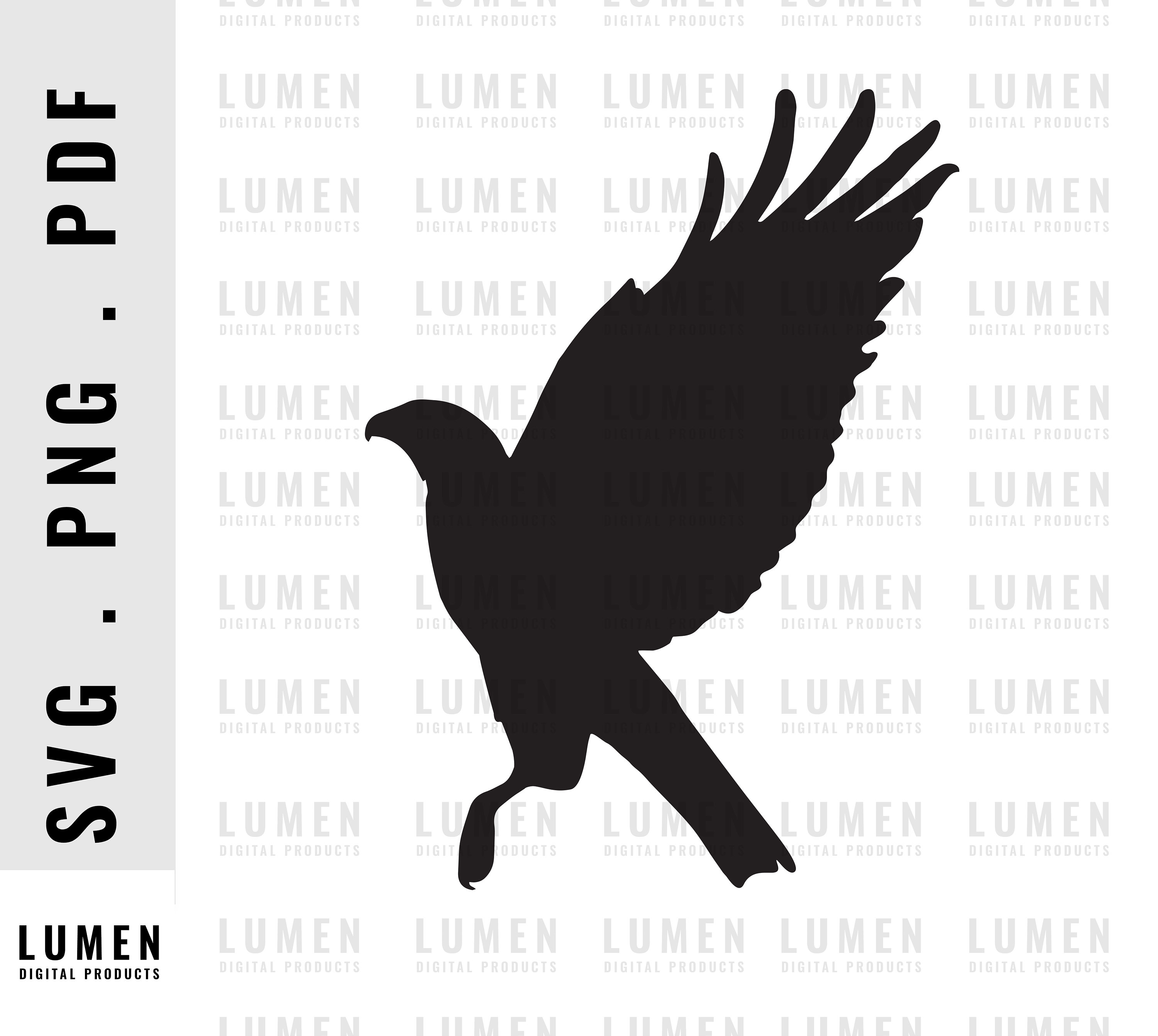 Hawk SVG, Hawk Silhouette SVG, PNG, Flying Hawk Silhouette Svg, Hawk ...