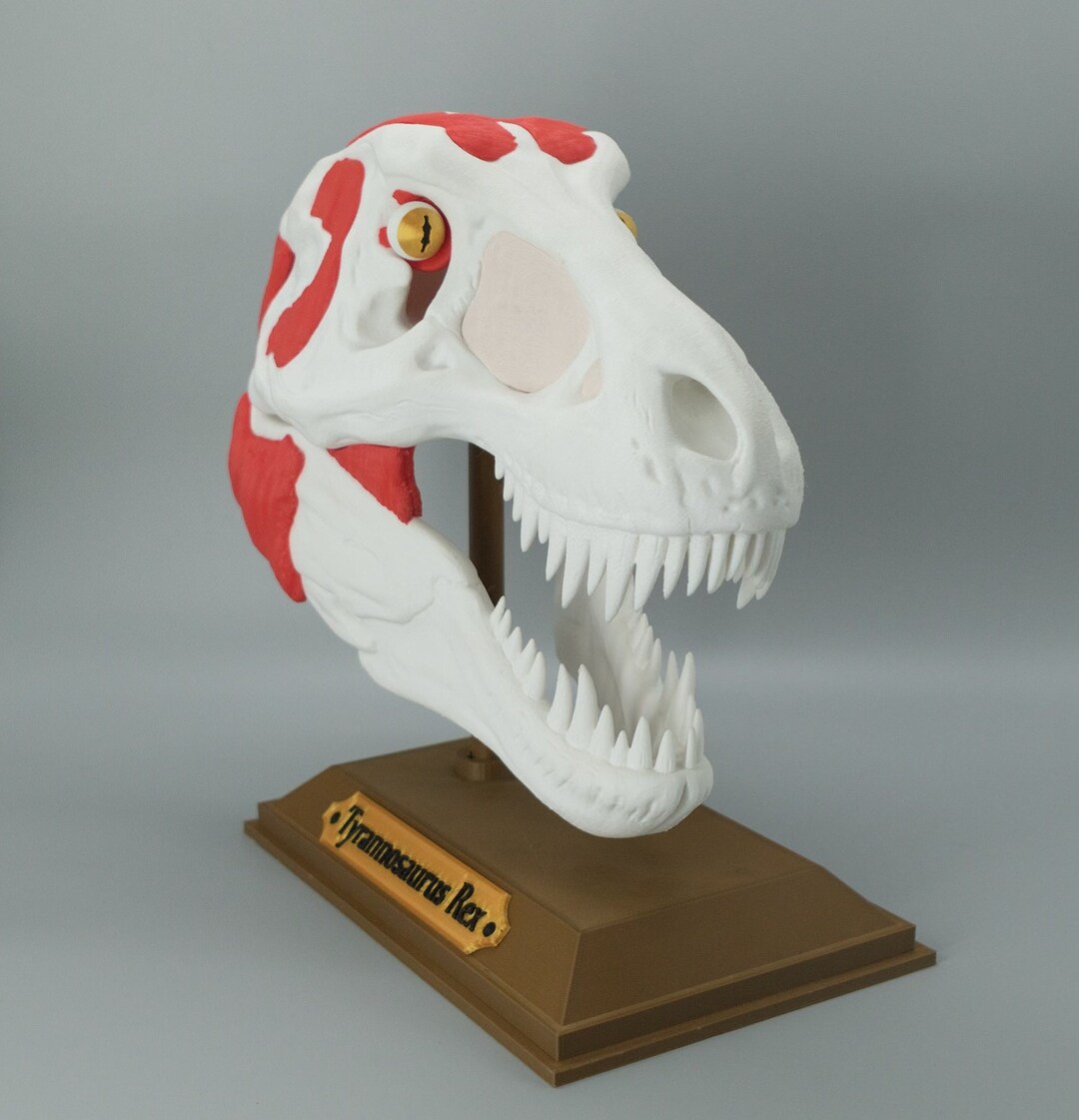 Tyrannasaurus Rex Skull With Muscles and Base ~ T Rex Skull ~ T-rex ...
